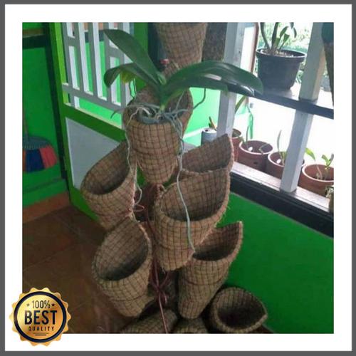 Jual Pot serabut kelapa bunga anggrek tempel dinding GUDANG - Kab ...