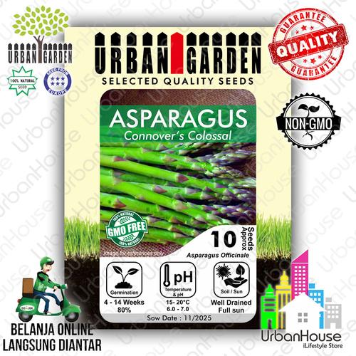 Jual VEGETABLE - Benih ASPARAGUS Connovers Colossal IMPORT Bibit ...