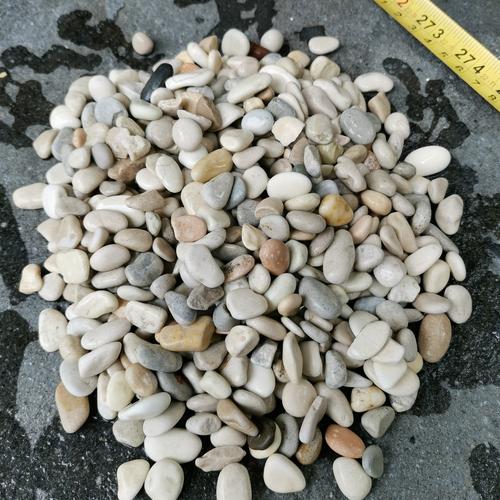 Jual Batu Sikat Koral Sikat Ares Putih Klik Varian Untuk Ukurannya ...