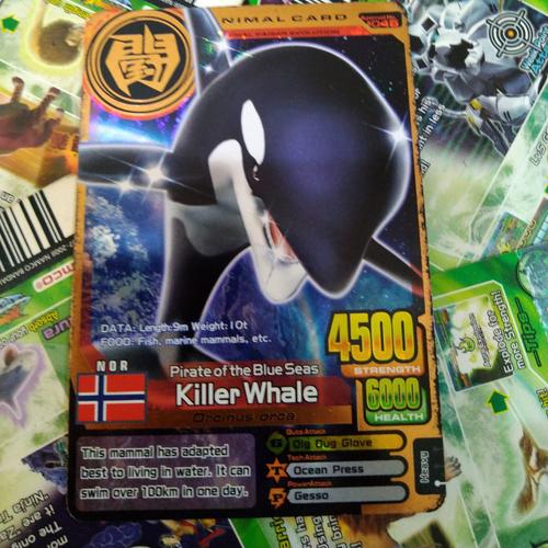 Jual animal kaiser killer whale - Kota Surabaya - Anything Is Goods ...