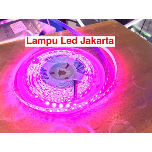Jual Lampu LED strip 120mata 12v pink /5meter - Jakarta Pusat - Lampu ...