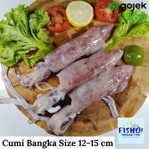 Jual CUMI BANGKA PREMIUM SEGAR FROZEN 1KG - M 10-15cm/ekor, 500 gr ...