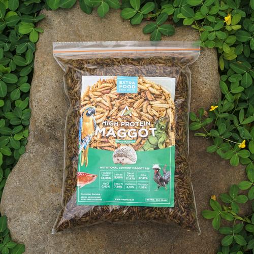 Jual DRY MAGGOT 500 Gr | PAKAN TERNAK - Kab. Bogor - Toko Inagro ...