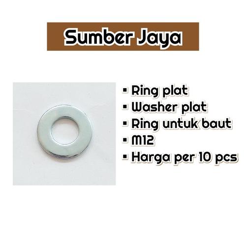 Jual Ring Plat M12 Washer Plate M12 Per 10 Pcs - Kota Bekasi ...