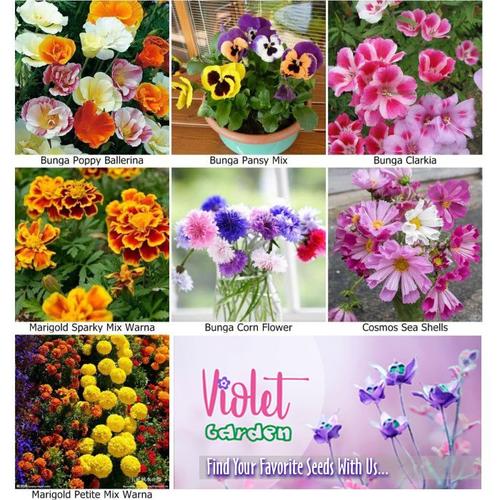Jual PAKET HEMAT Benih Bunga Cosmos-Poppy-Marigold isi 7 Jenis Bunga ...