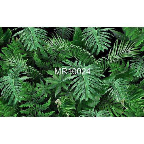 Jual Wallpaper Dinding Mural Motif Bunga Daun Monstera Tropis 3D 3x5m ...