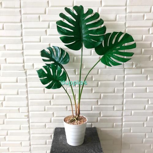 Jual Pohon Daun Monstera Akar X4 Latex Pot Ulir Plastik Hiasan ...