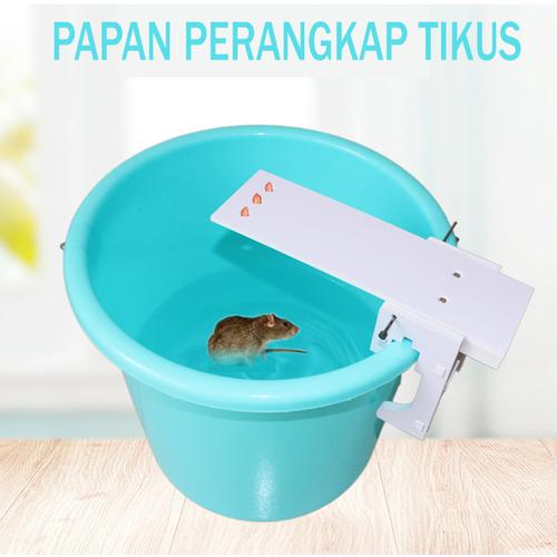 Promo Perangkap Tikus Unik / Walk The Plank Mouse Trap / Jebakan Tikus ...