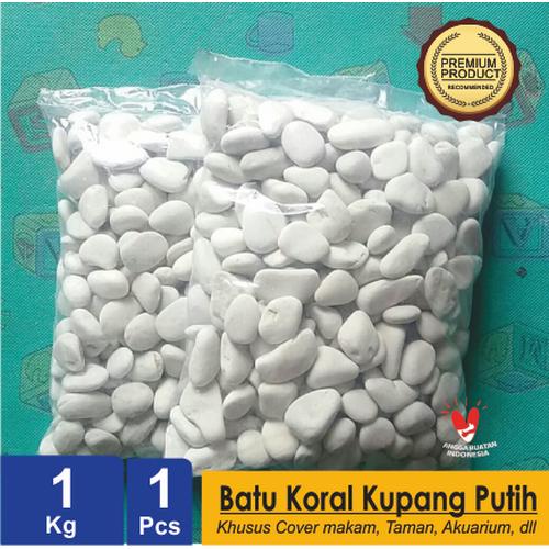Jual BATU KORAL KERIKIL / KUPANG PUTIH / BATU HIAS TAMAN AKUARIUM ...