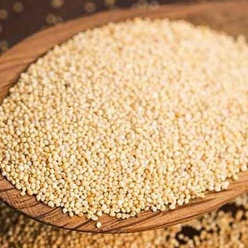 Jual KASKAS BIJI KASKAS BIJI POPPY POPPY SEEDS - Kota Surabaya - dapur ...