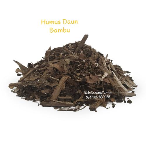 Jual Humus Daun Bambu Media Tanam Humus Daun Bambu - Kota Denpasar ...