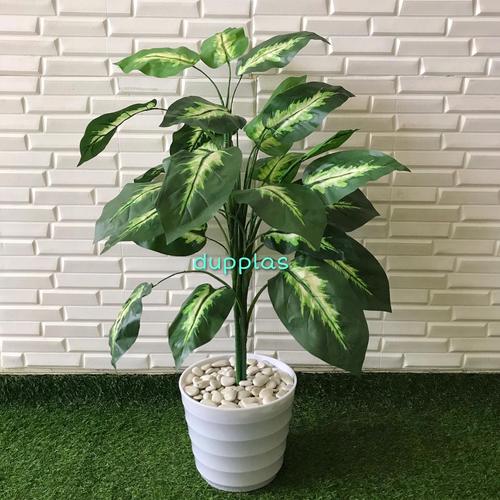 Jual Pohon Daun Sri Rejeki Legacy Hijau Artificial Pot Ulir Putih ...