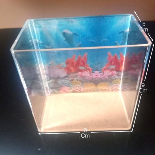 Jual mini akuarium / tempat ikan / display wadah air - Kota Tangerang ...
