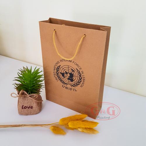 Jual Paper Bag Kraft Tali Custom Print / Paper Bag Sablon / 16x5x24 ...