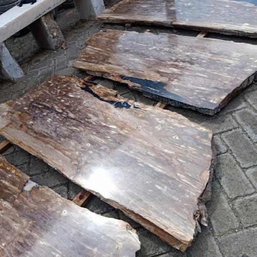 Jual Daun Meja Batu Fosil Kayu (Petrified Wood) - Kab. Tulungagung ...