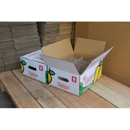 Jual Kardus mangga sekat isi 12 packaging kemasan mangga - Jakarta ...