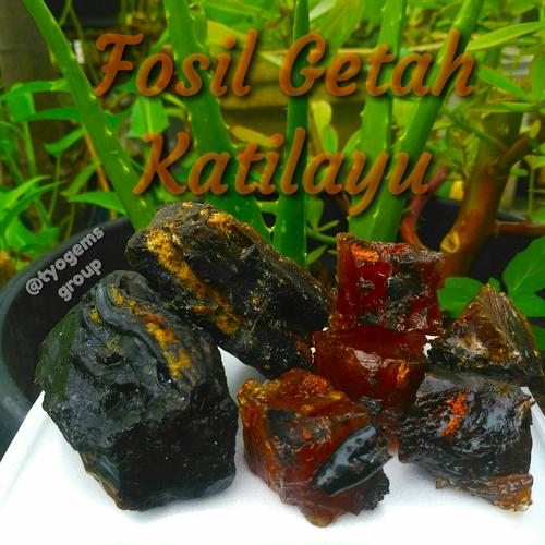 Jual Batu Getah Fosil Katilayu - Jakarta Timur - TTyogems | Tokopedia