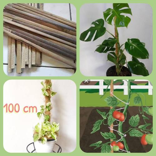 Jual Turus bambu penyangga bunga dan tanaman lanjaran bambu 100cm ...