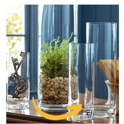 Jual VAS BUNGA KACA TABUNG DEKORASI MINIMALIS / KAKTUS SUKULEN/BUNGA ...