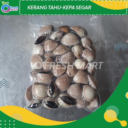 Jual KERANG TAHU - KEPA SEGAR HIDUP FRESH SEGAR - 500 gram - Jakarta ...