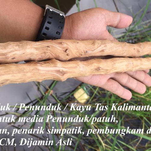 Jual Kayu Penunduk Atau Kayu Tas Tunduk Kalimantan sepasang - Kab ...
