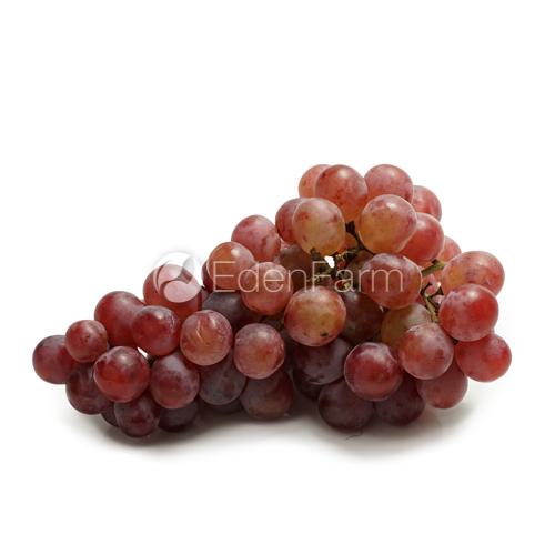 Jual Buah Anggur Merah 1/2 KG - 500 Gram - Jakarta Pusat - SayurWoori ...