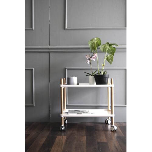 Jual SKART CART / / OSLO / RAK SERBAGUNA / MEJA DORONG/ RAK DORONG ...