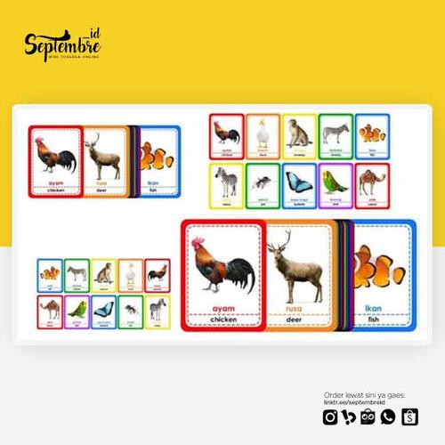 Jual Flashcard Binatang - Flashcard Hewan - Flash Card Binatang/Hewan ...