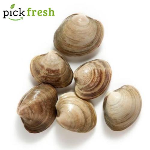 Jual Kerang remis - Jakarta Timur - pick fresh | Tokopedia