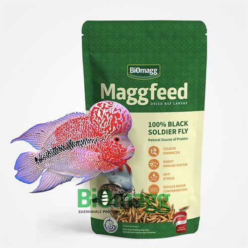 Jual Makanan Pakan Maggot Kering Ikan Louhan Pertumbuhan Jenong ...