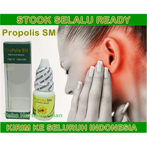 Jual Propolis SM Obat Sakit Telinga, Gendang Telinga Bolong, Robek ...