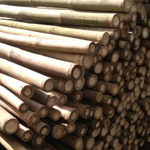 Jual Bambu steger kaso sebagai penopang daerah Bekasi Tambun Cibitung ...