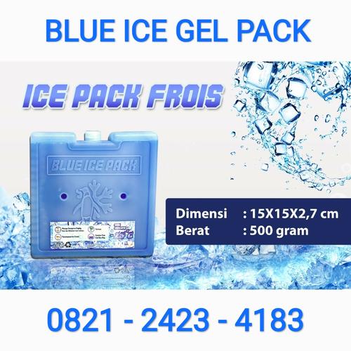 Jual Agen Ice Pack Kotak Blue IcePack Pengganti Dry Ice - Kota Depok ...