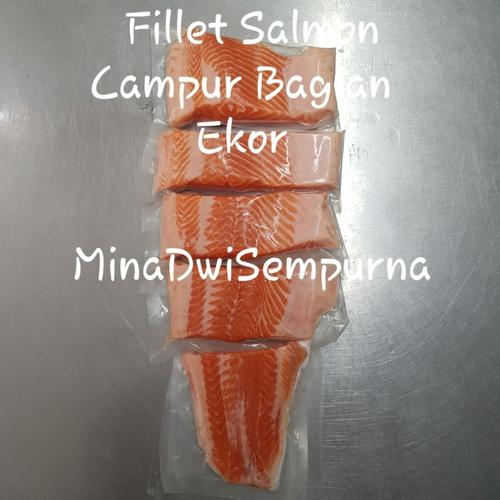 Jual Salmon Fillet Fresh 1kg (Norwegian Salmon Premium) - Jakarta Utara ...