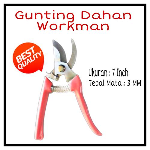 Jual Gunting Dahan Batang Tanaman Daun Ranting Serbaguna - Kota ...