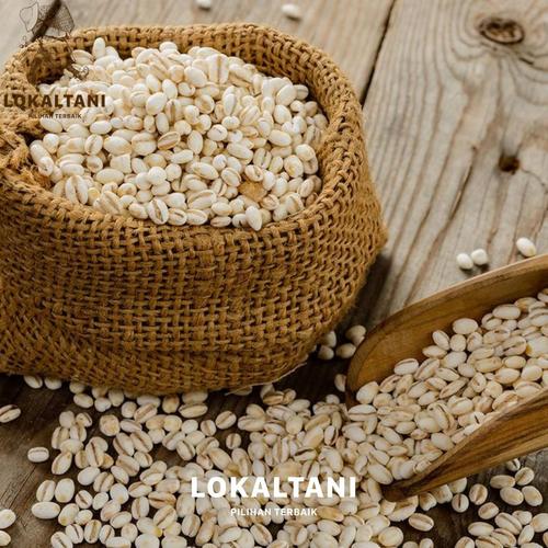 Jual Barley/Natural pearl barley/Biji Jali-jali Impor/ Jelai/Hanjeli 1 ...
