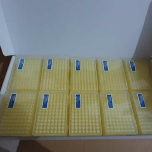 Jual Filter Tips Gsbio I 10 20 100 200 1000 1250 Ul I Universal Tips 200 Ul Jakarta Utara jual-filter-tips-gsbio-i-10-20-100-200-1000-1250-ul-i-universal-tips-200-ul-jakarta-utara