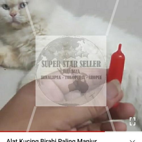 Jual Alat Kucing Birahi aman dan bisa digunakan berulang male dan ...