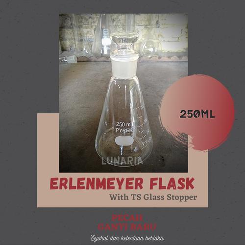 Jual Erlenmeyer 250ml Dengan Ts Joint dan Tutup Kaca - Kab. Bandung ...