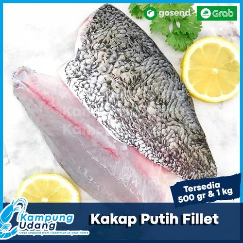 Jual PROMO Ikan Kakap Putih / Baramundi - White Snapper Fillet Frozen ...