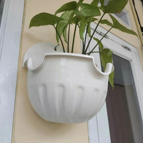 Jual pot tembok putih dinding cantik - Kab. Bogor - Perabot Rumah ...