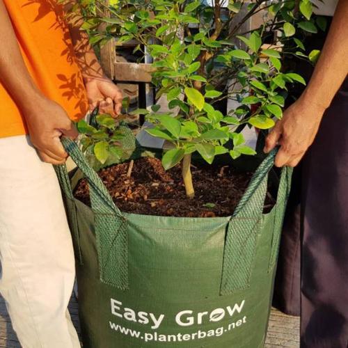 Jual Planter Bag 200 Liter - Planterbag - Easy Grow- Easygrow - Pot ...