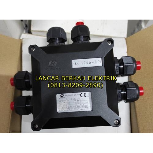 Jual T-DUS TDUS JUNCTION BOX EXPLOSION PROOF WAROM BXJ8050-20/6H2 ...