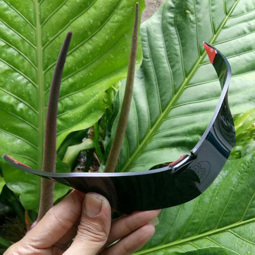 Jual Spoiler dark kyt x-rocket - Kota Surakarta - Yellow Energy | Tokopedia