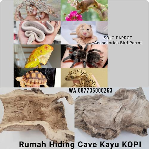 Jual Rumah Hiding Cave Kayu Kopi untuk Reptile Gecko Turtle Tarantula ...