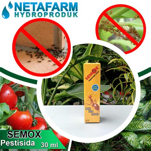 Jual Pembasmi semut dan rayap SEMOX Spray sistem 30ml - Kab. Sidoarjo ...