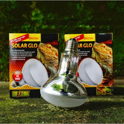 Jual Exoterra Solar Glo 80W All in One Uva Uvb Reptile, Burung -Kedai Satwa - Nomoy Solar - Kab ...