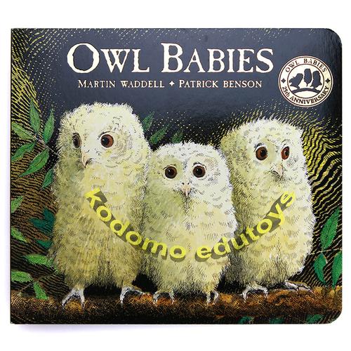 Jual Owl Babies ( Board Book ) by Martin Waddell,Patrick Benson ,Buku ...