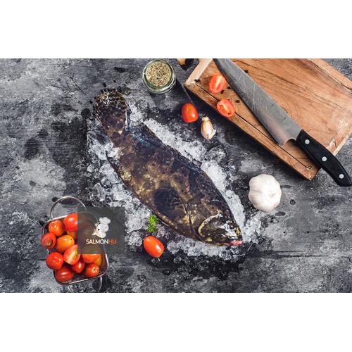 Jual Kerapu Bunga / Cantang SEGAR Ukuran Super FRESH Seafood 0.7 sd 0.8 ...