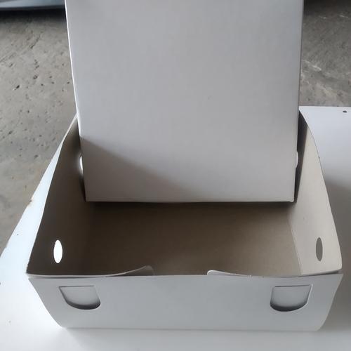 Jual ukuran 20X20X7 || BOX CATERING MAKANAN - Jakarta Barat - RKJ ...